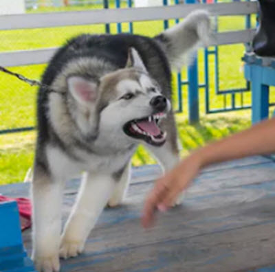 Blog | The Law Office of Hammad S. Matin, P.A.